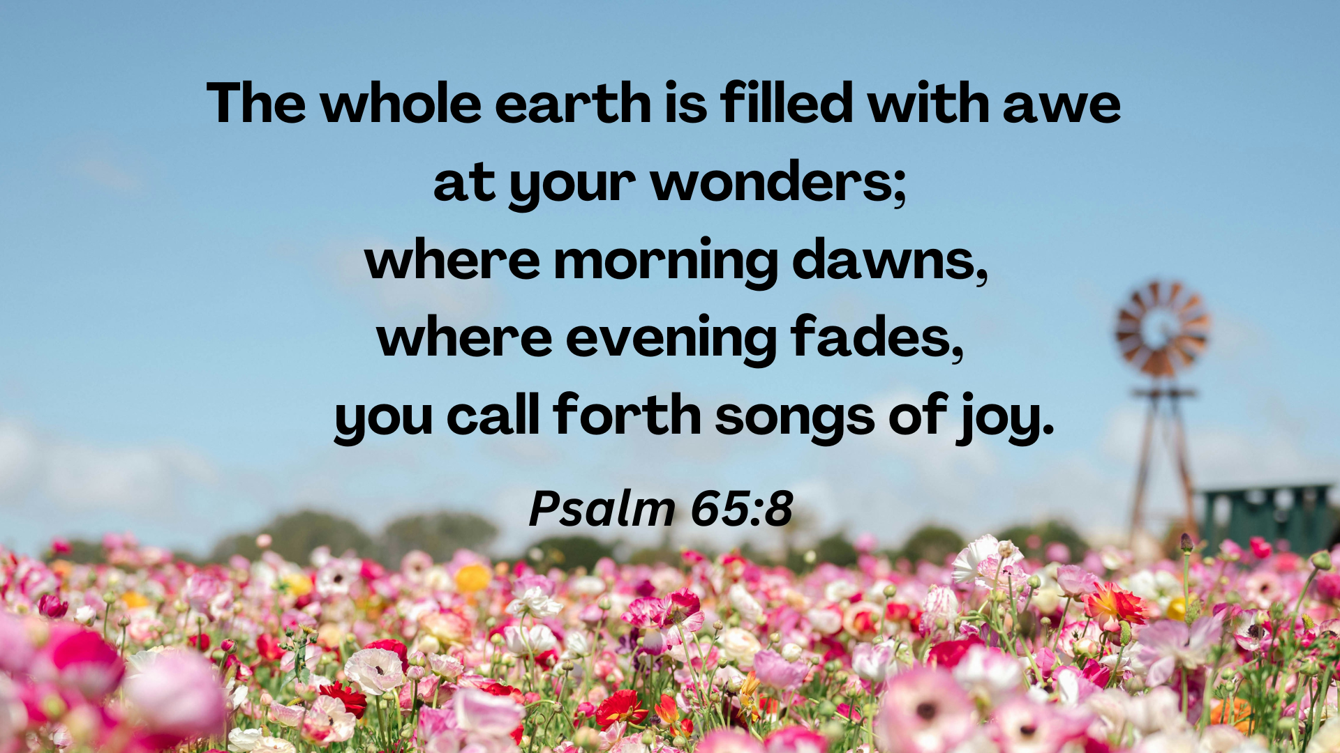 Psalm 65 – Praying the Psalms: Thanksgiving – Shatin Anglican Church